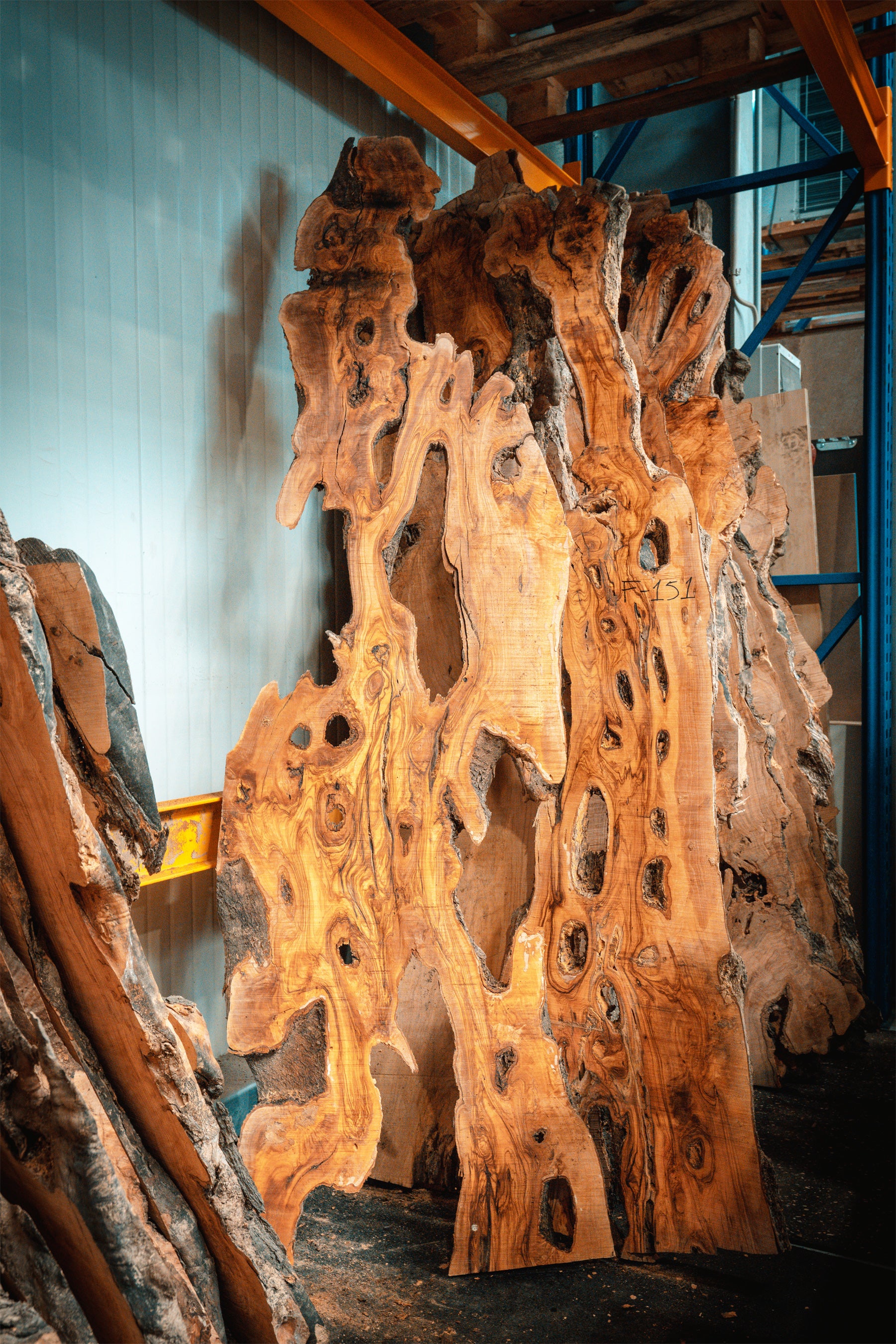 ART OF EXCLUSIVE TREES | Precious woods at fair prices!